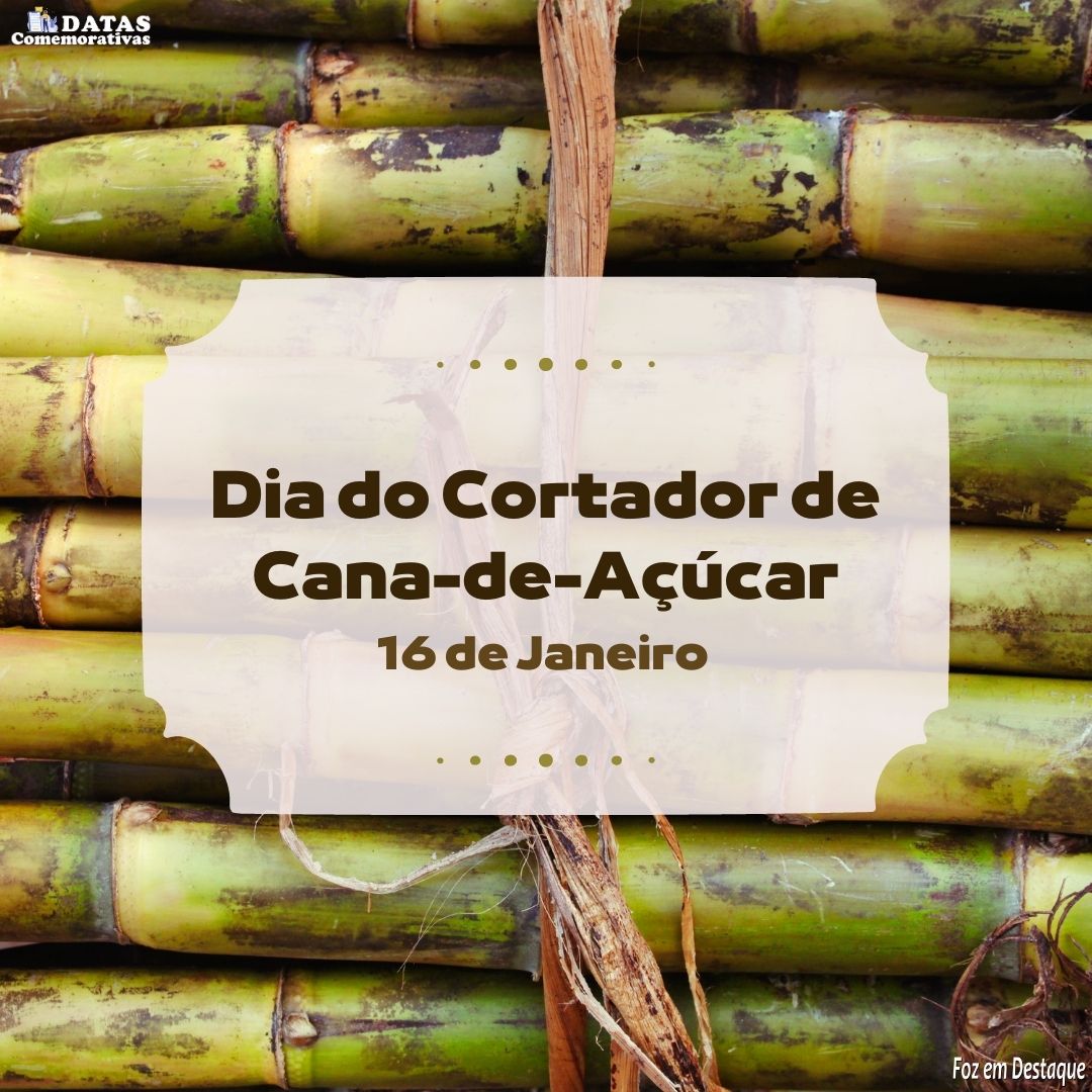 Datas Comemorativas: 16 de Janeiro - FozEmDestaque